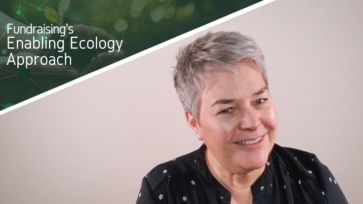 Does your organization have the right conditions for fundraising ...